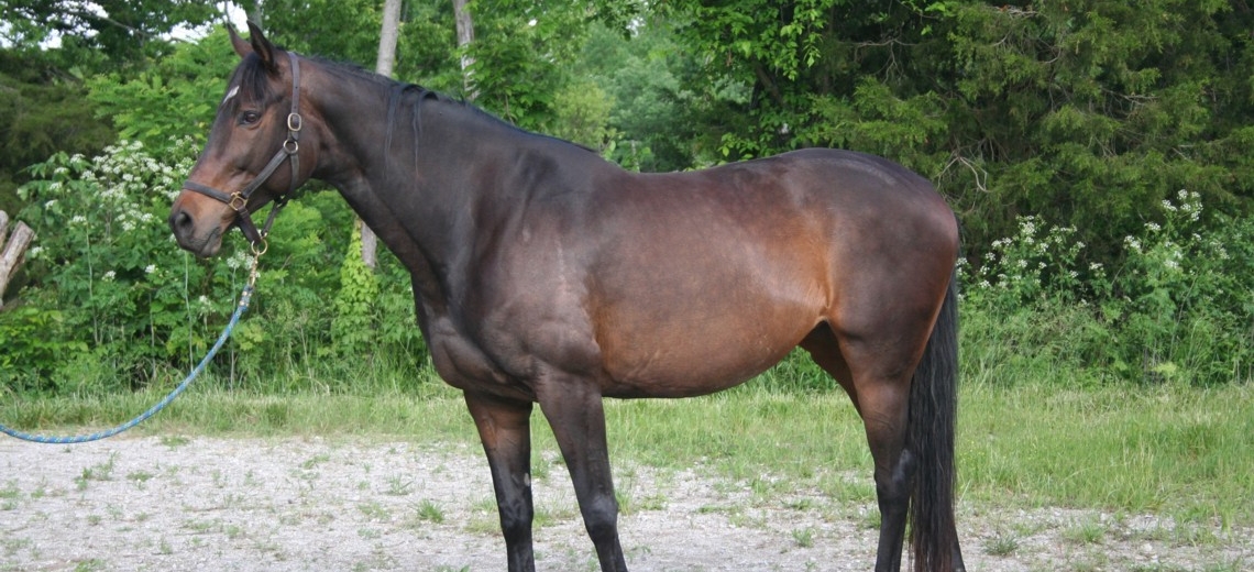 Stonehurst Farm